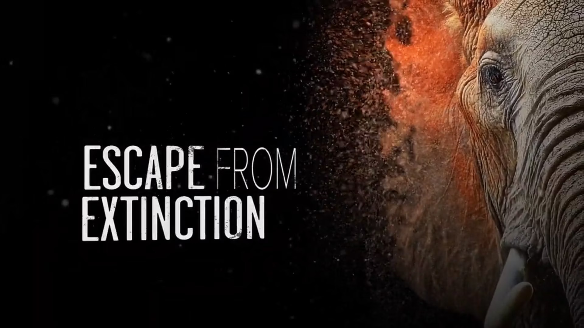 Escape From Extinction trailer - Canary Productions